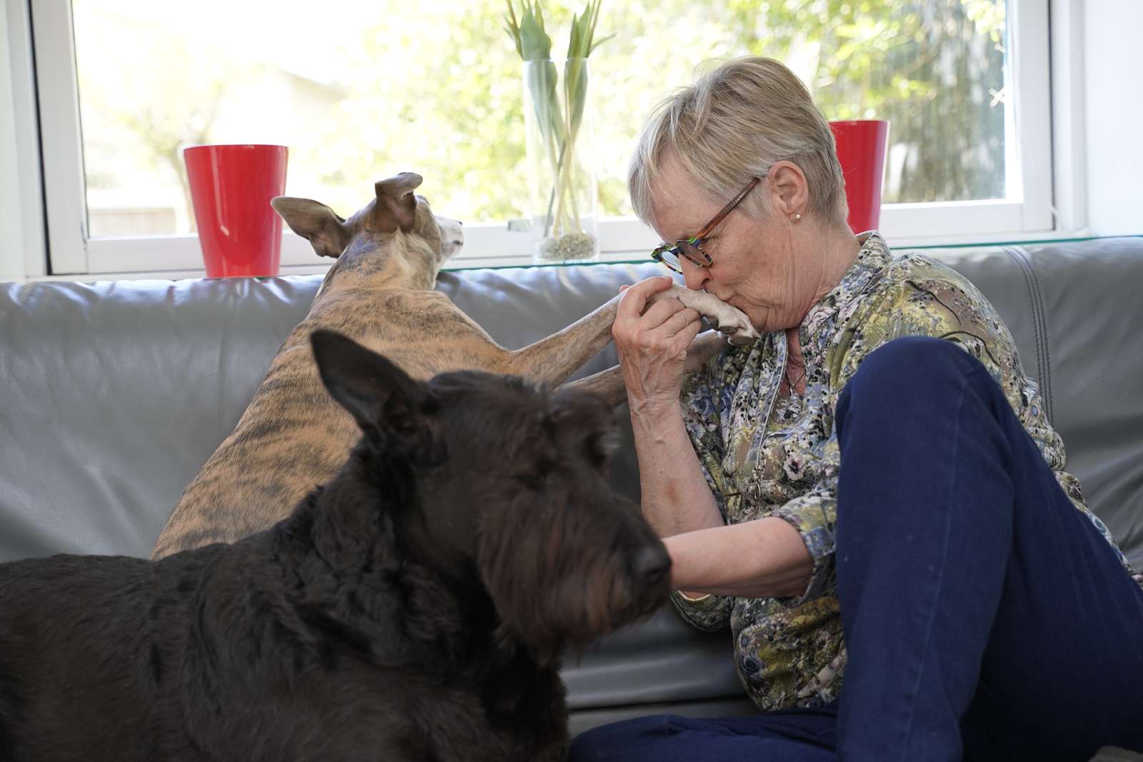 Ingen ved, hvor lang tid vi har | Dyrenes Beskyttelse